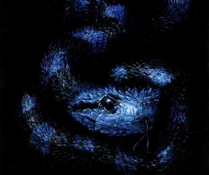 Gesso saggezza Per favore, guarda inter nike serpente Nutrirsi ...